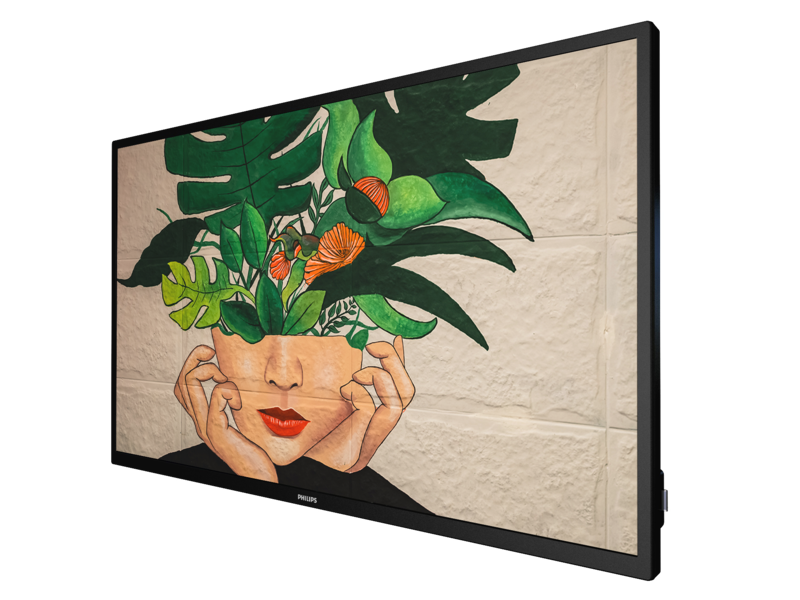 32BDL4511D/00 | PPDS