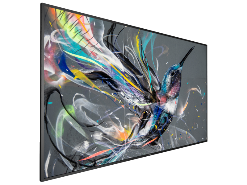 75BDL3550Q/00 | PPDS