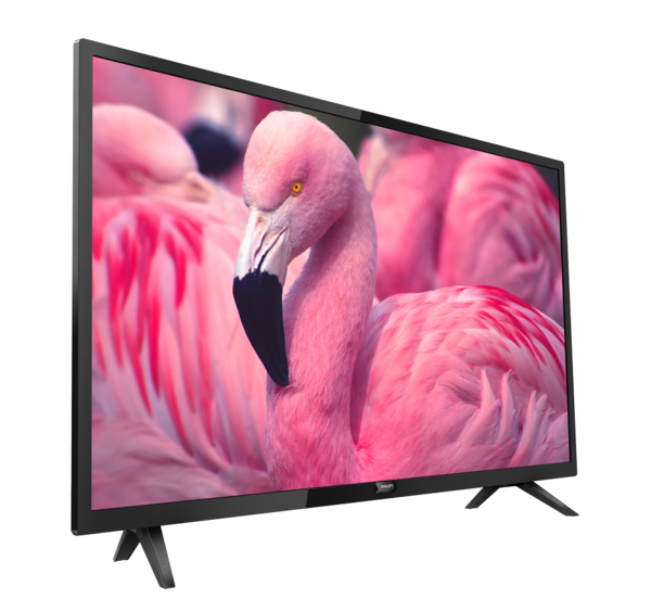 Powering evolution | PPDS