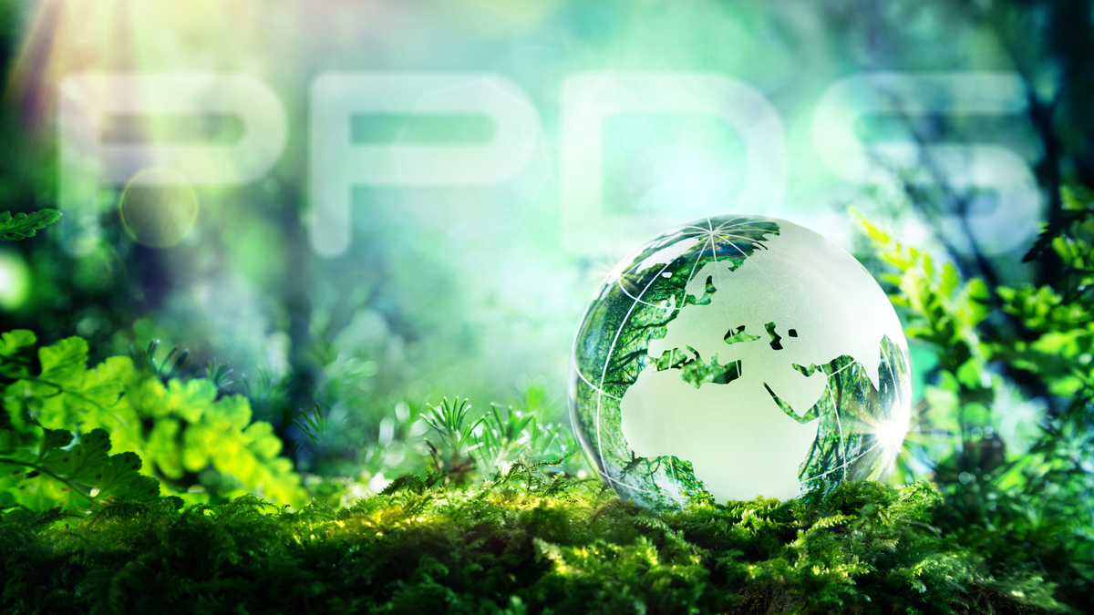 Sustainability in focus with PPDS at Global Access: Future… | PPDS