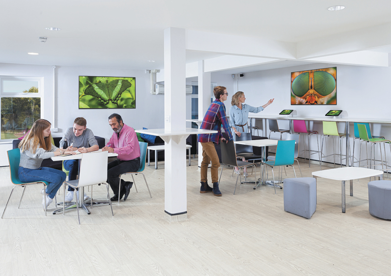 Interactive learning sessions | PPDS