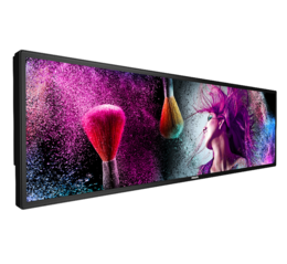 Powering evolution | PPDS